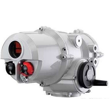 罗托克电动执行器IQT1000